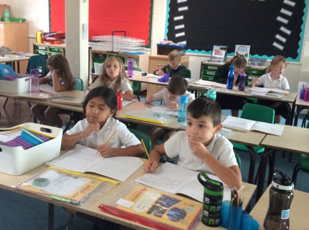 Year 3 – Greenfields Primary School