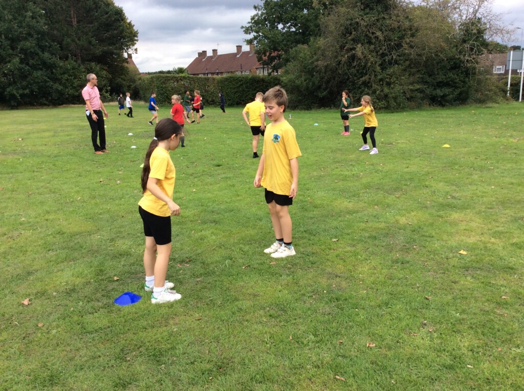 Year 4 – Greenfields Primary School