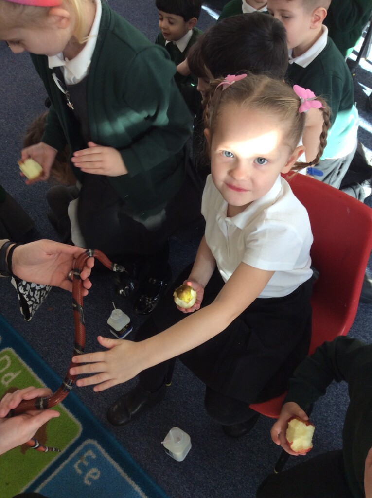 Reception – Greenfields Primary School
