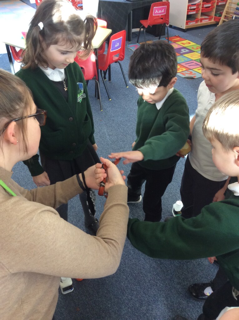 Reception – Greenfields Primary School